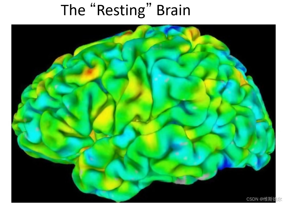 静息态功能磁共振成像(rs-fMRI)原理与数据分析——1_rsfmri功能连接分析-CSDN博客