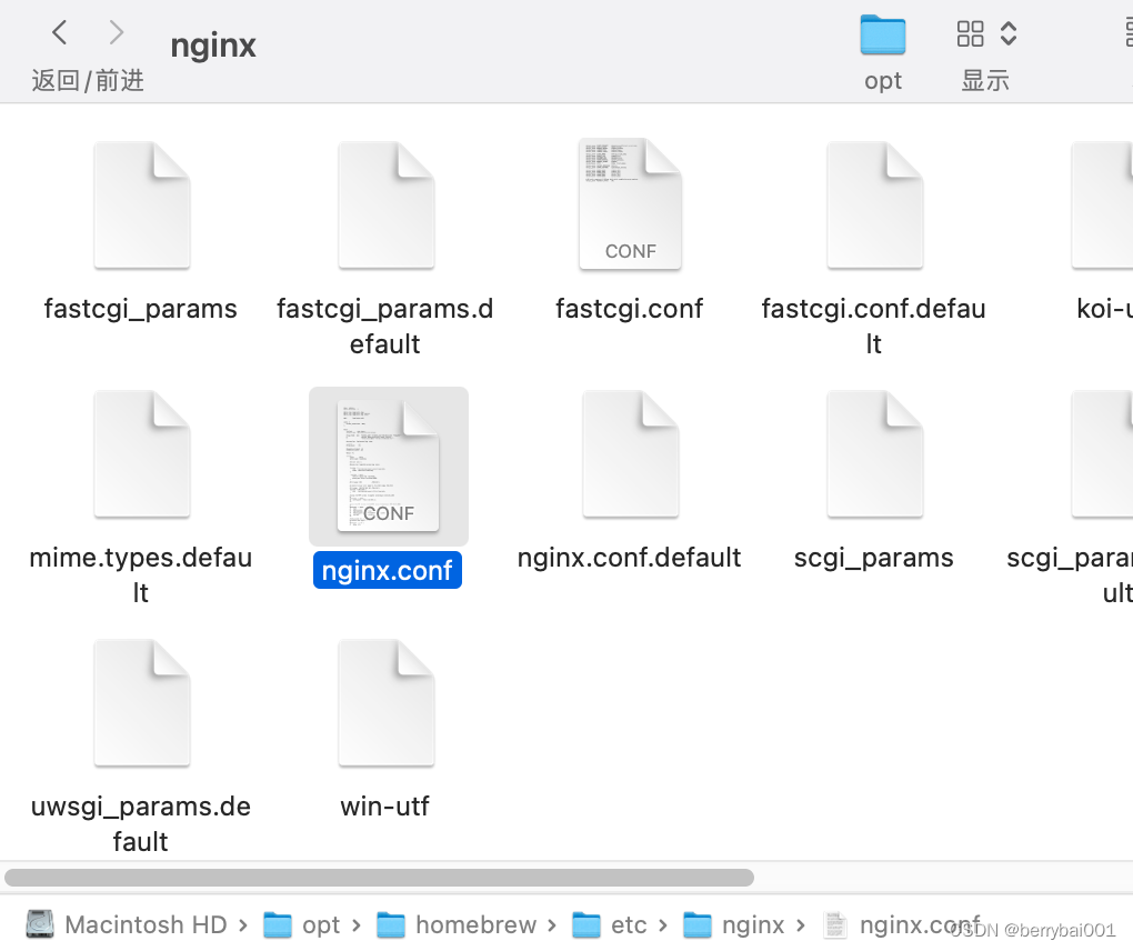 windows上的nginx项目怎么放到mac上运行_mac下怎么运行windosw打包好的nginx-CSDN博客