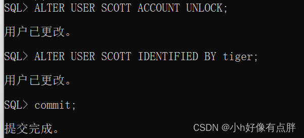 Oracle 19c 安装步骤（详细图文）重点成功解决【scott用户解锁】的问题：【ORA-031未连接】【用户‘SCOTT‘不存在】【ORA-01045:没有 CREATE SESSION ...