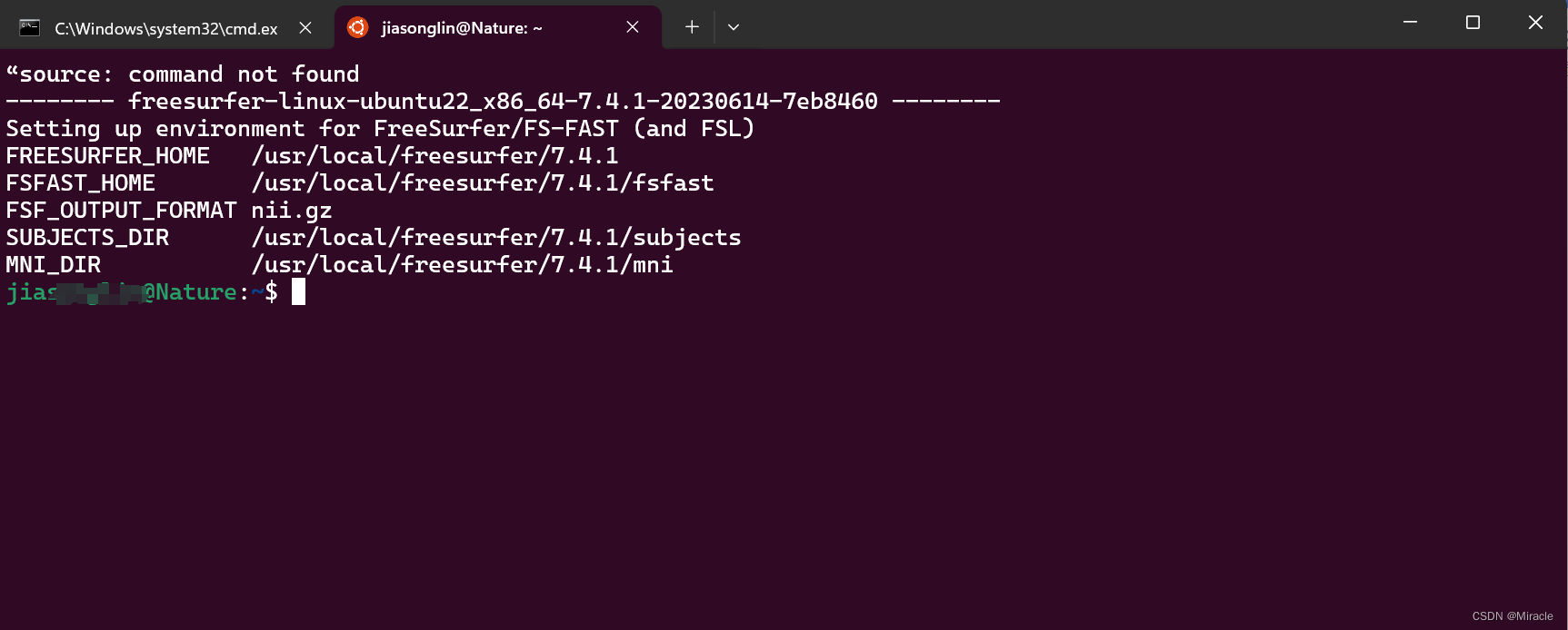 在Windows上运行Freesurfer的简易方法（基于WSL2）_freesurfer wsl-CSDN博客