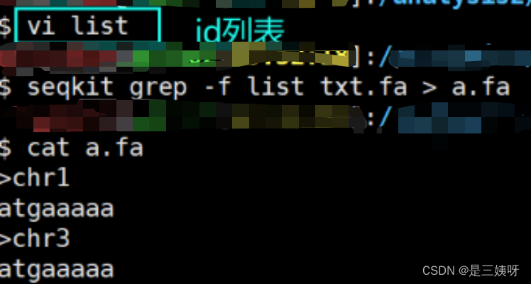 seqkit：处理数据的ACE-CSDN博客