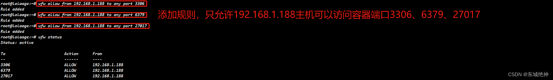 《Linux运维总结：基于Ubuntu系统使用ufw为docker容器配置防火墙策略》_ubuntu docker ufw-CSDN博客