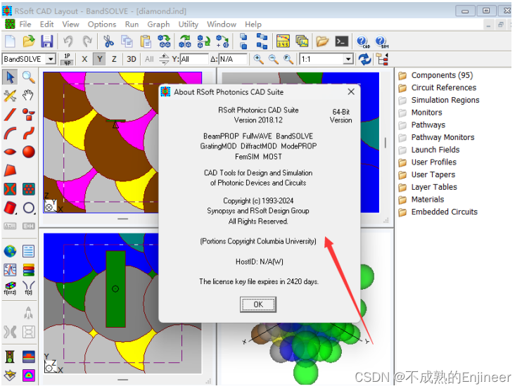 Rsoft软件安装教程-CSDN博客