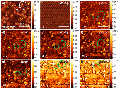 【MoS2】原位扫描探针显微镜评估单层MoS2 FET中的缺陷_翻译direct assessment of defective regions inmonolay-CSDN博客