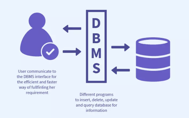 数据库简介：什么是DBMS（数据库管理系统）？-CSDN博客