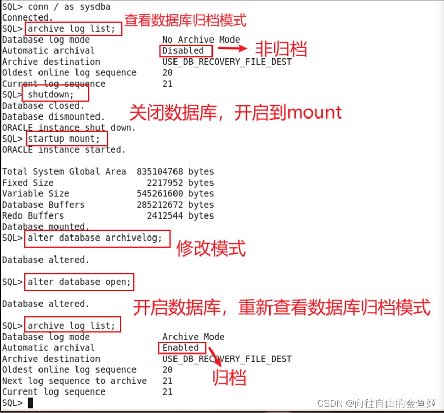 关于oracle数据库闪回技术oracle 数据库闪回 必须是单例模式吗 Csdn博客 1426