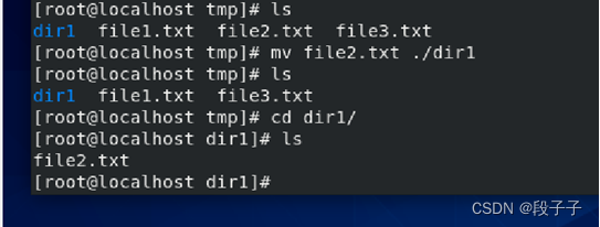Linux实验一：熟悉Linux基本命令_将file2移动到dir2中,将file3重命名为file3.bak-CSDN博客