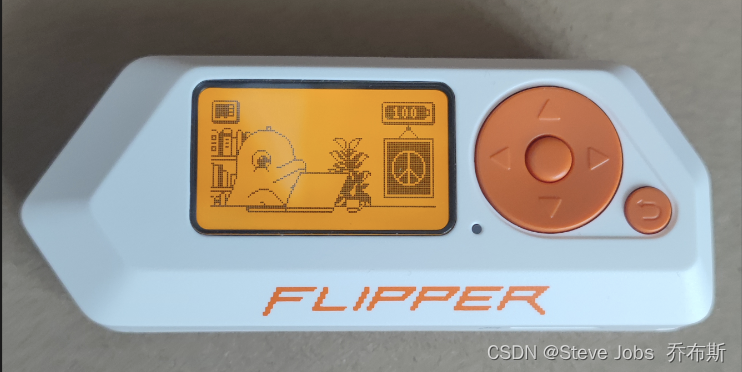 Flipper Zero极客工具的使用-CSDN博客