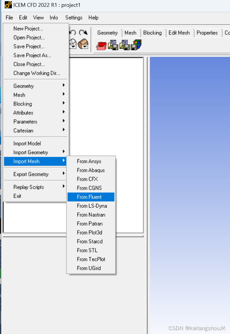 从二维模型的CAS文件中得到二维网格mesh文件的方法-CSDN博客