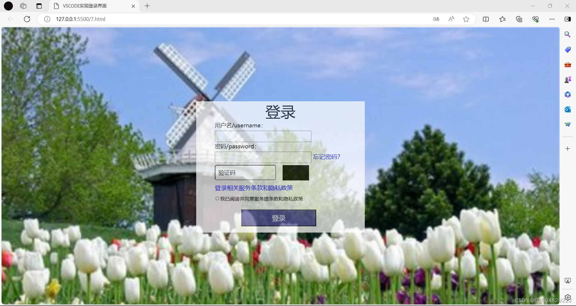 Vscode制作简单登录界面（含验证码） 用vscode写一个登录网页 Csdn博客