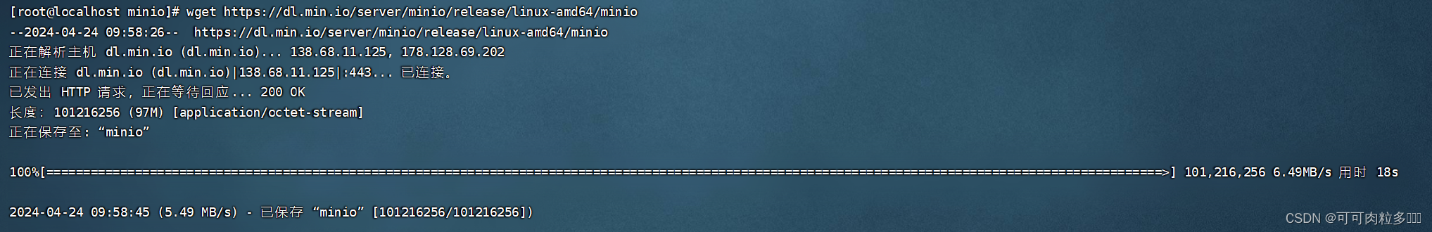 【Linux】安装minio_minio安装linux-CSDN博客