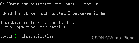 安装pnpm_pnpm安装-CSDN博客