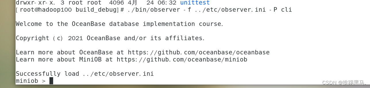 在centos7环境下miniob环境搭建，并调试_miniob docker编译-CSDN博客