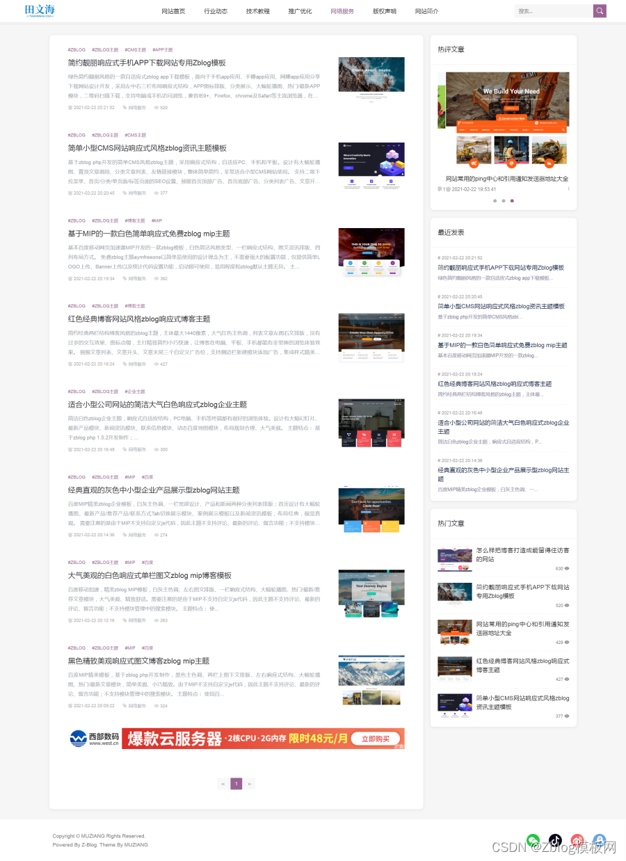 Zblog主题模板：zblog日志极客博客主题模板mzalog_zblog主题ol极简个人博客模板-CSDN博客