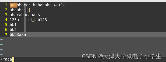 VIM奇技淫巧-VIM/GVIM中的正则匹配_vim 匹配-CSDN博客