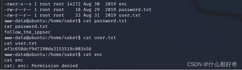 prime1(超超详细)_使用dirb命令对prime 网址进行网页扫描-CSDN博客