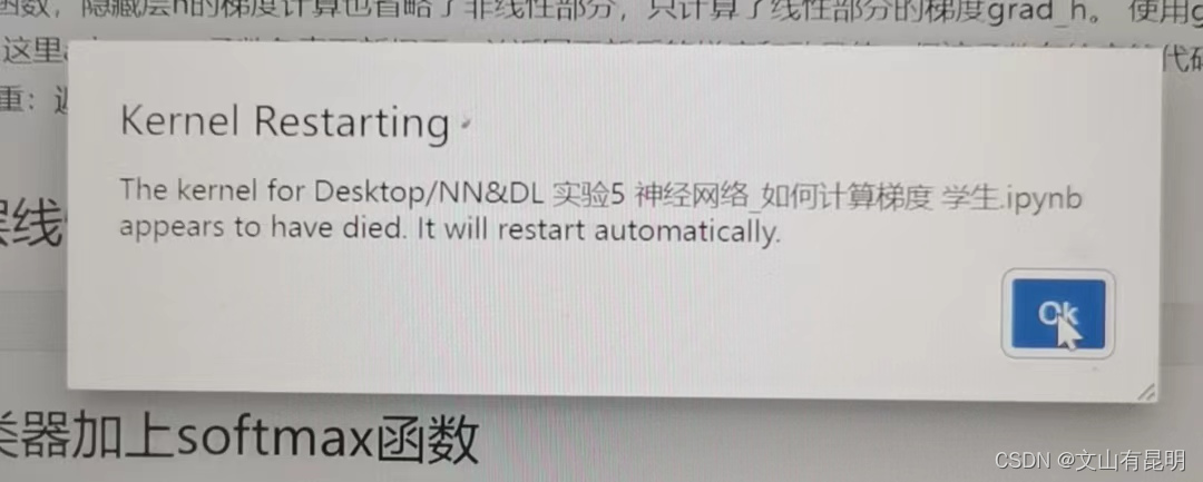 假如jupter出现Kernel Restarting·The kernel for Desktop/NN&DL实验5神经网络如何计算梯度 学生．ipynb appears to have ...