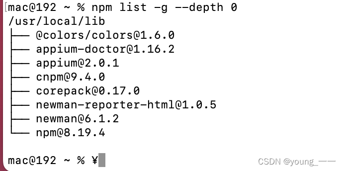 newman下载安装-CSDN博客
