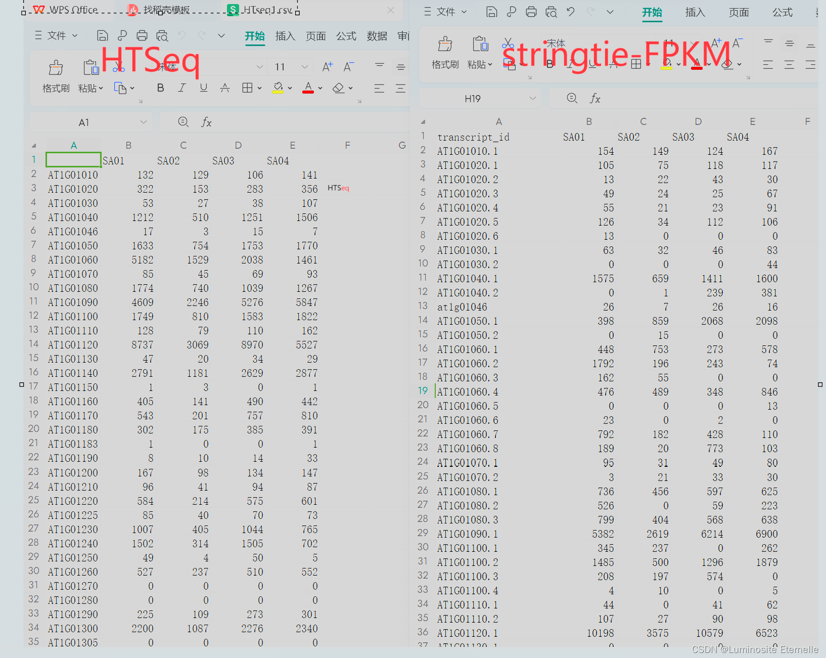 Linux的RNA-seq分析（stringtie-FPKM和HTseq计数）_prepde.py3-CSDN博客