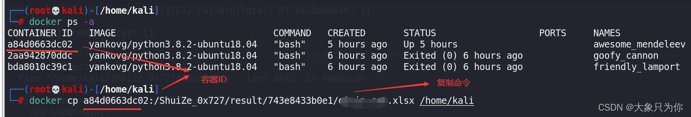 分享一个信息收集自动化工具-ShuiZe水泽-CSDN博客