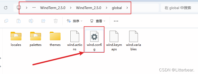 WindTerm 如何关闭主密码弹窗？_windterm 主密码-CSDN博客