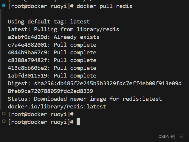 docker 部署Ruoyi 项目_若依 部署在docker里-CSDN博客