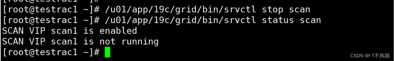 Oracle 19C RAC IPv6改造（IPv4+IPv6双栈配置）_oracle ipv6 访问-CSDN博客