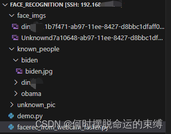 python 人脸识别项目face_recognition之简单入门_pythonfacerecognition库-CSDN博客