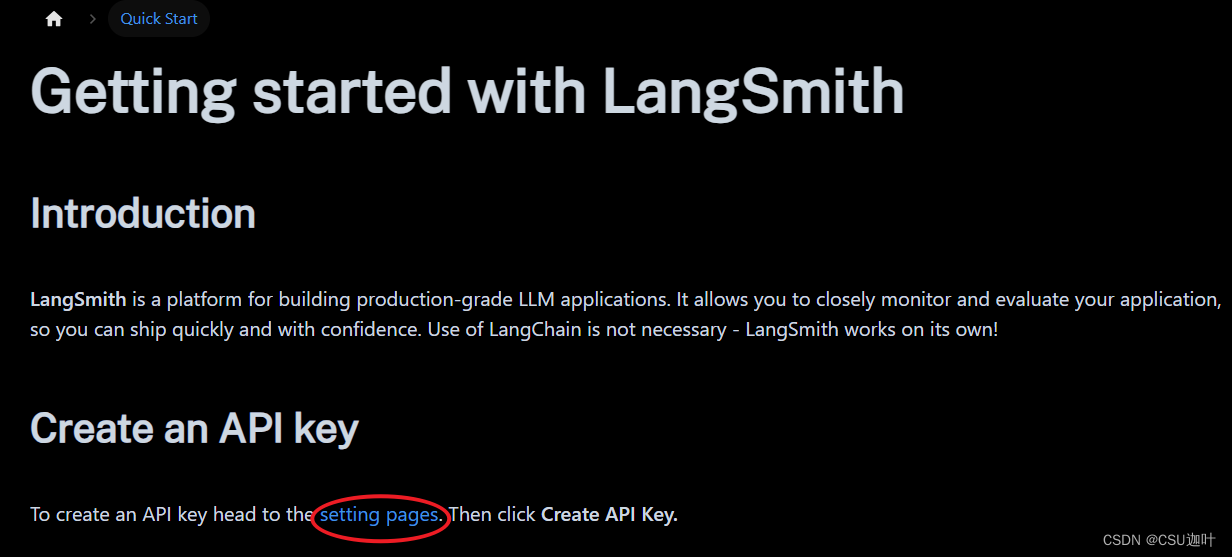 Langsmith 入门 Csdn博客 