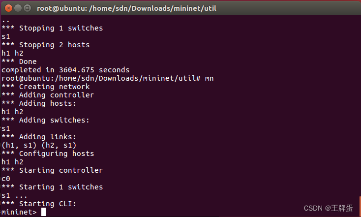 SDN | Ubuntu 下安装仿真软件Mininet+Ryu_mininet 仿真器-CSDN博客