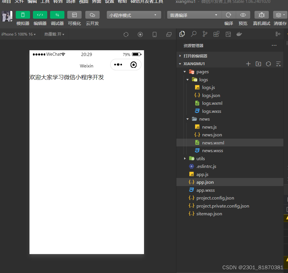 第二章 微信小程序开发基础_app.json .wxml .js .wxss-CSDN博客