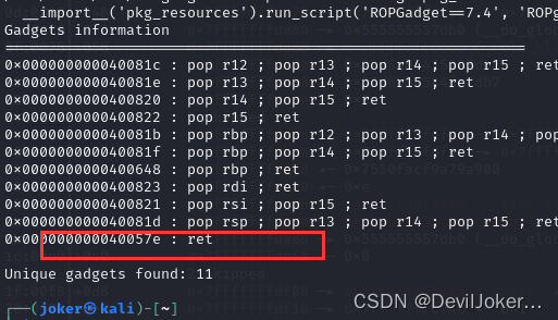 关于ret2libc 的泄露 puts(64位)+write(32位）_ret2libc puts-CSDN博客