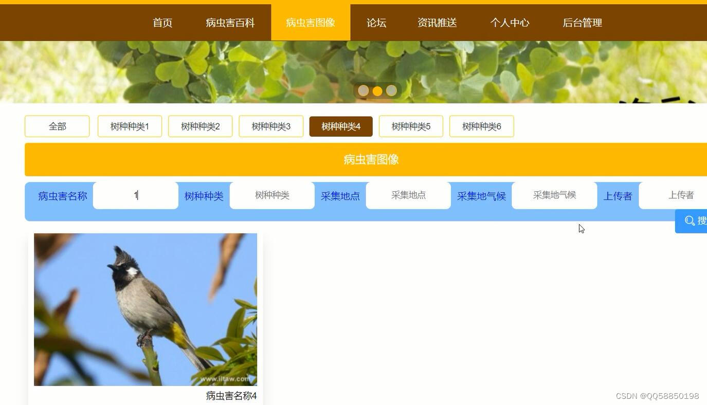 Pythondjango森林植物病虫害百科图像系统flaskvue华北地区阔叶林木叶部病虫害图像管理系统 Csdn博客