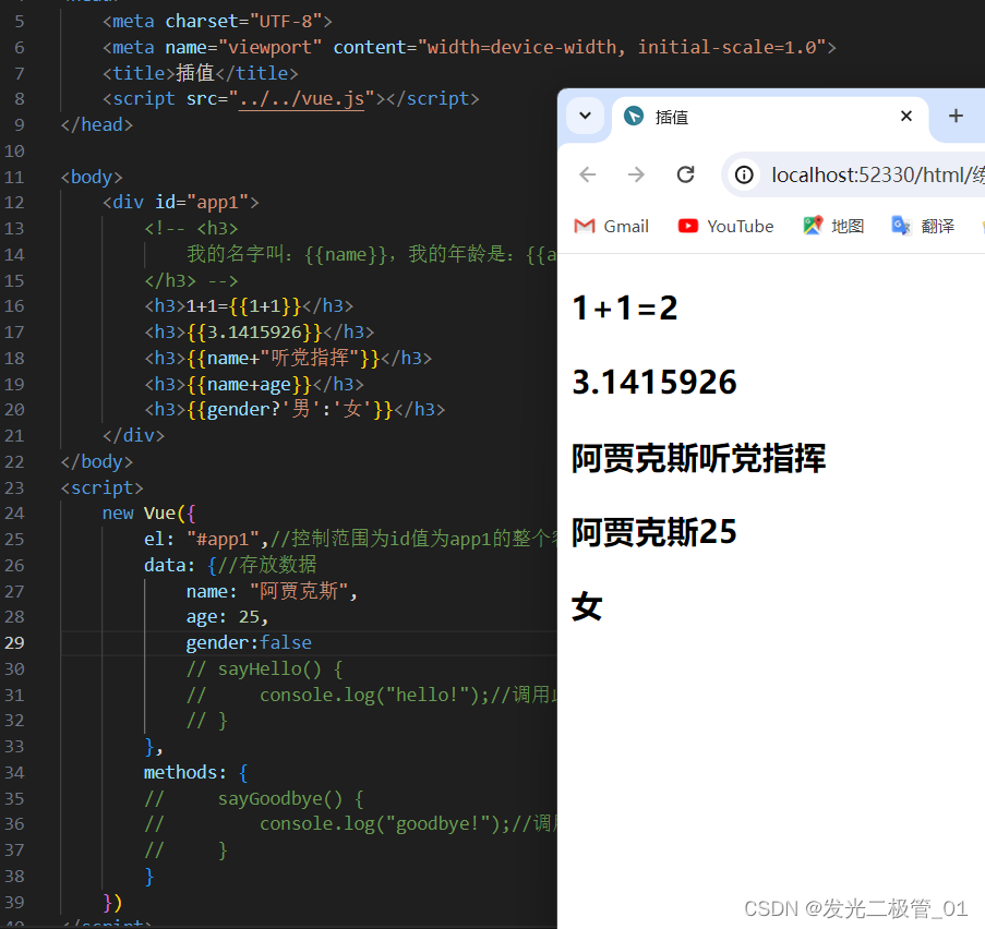 Vue模板语法之插值语法 的运用胡子语法 Csdn博客