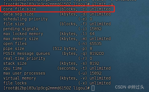 try “ulimit -c unlimited“ before starting Java again错误的排查记录_try "ulimit -c unlimited" before ...