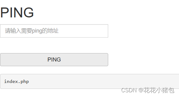 BUUCTF web题目之Exec_buucf exec-CSDN博客
