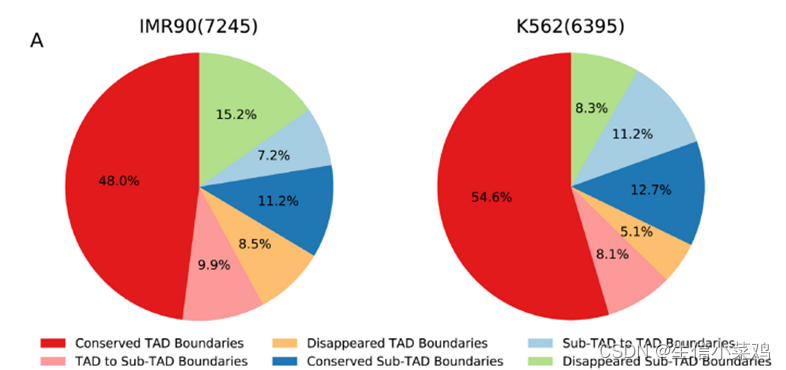 TAD结构保守性总结以及TAD鉴定方法_tad分析-CSDN博客