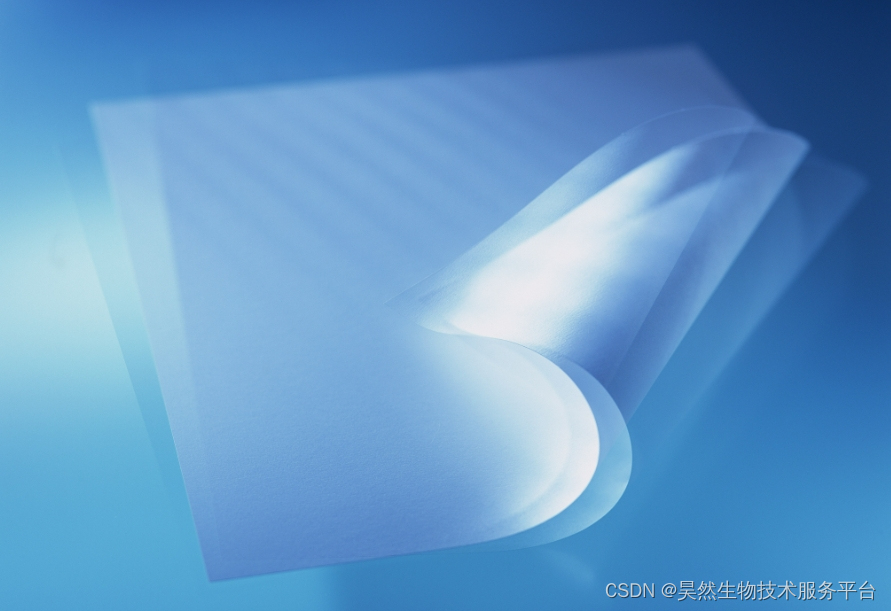 CVD二维薄膜、二硒化钨连续薄膜、TEM铜网基底_硒化钨薄膜的六边形-CSDN博客