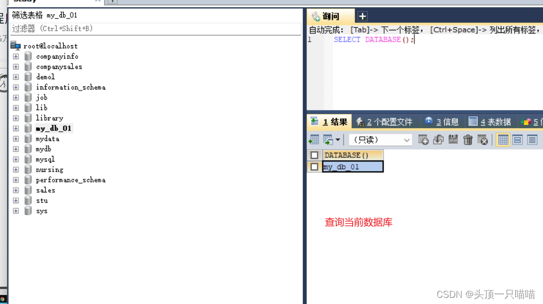 Mysql基础知识:ddl语句,数据库操作语法,查询数据库,创建数据库,删除数据库,使用数据库 Csdn博客
