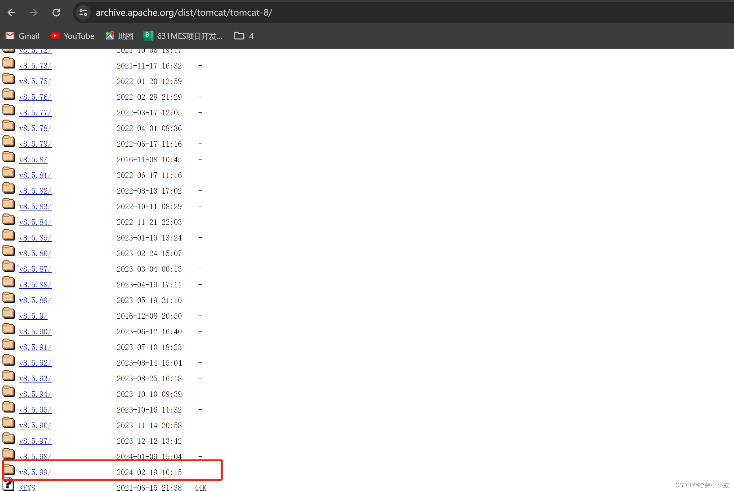 linux-Tomcat8.5.99安装与配置_tomcat 8.5.99-CSDN博客