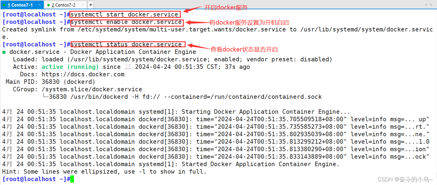 虚拟化+Docker基本管理_使用systemctl管理docker服务-CSDN博客