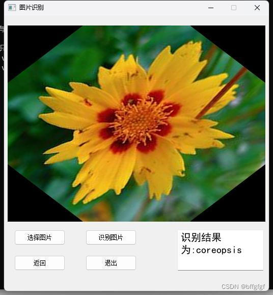 0086期基于python深度学习的鲜花识别 含数据集 Csdn博客