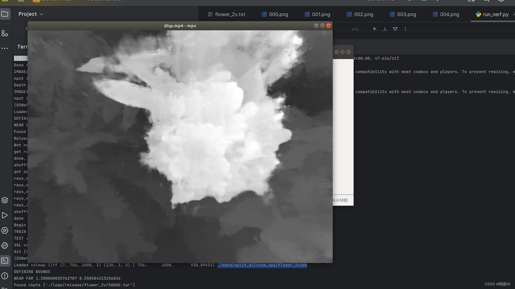 DSNeRF复现流程-CSDN博客