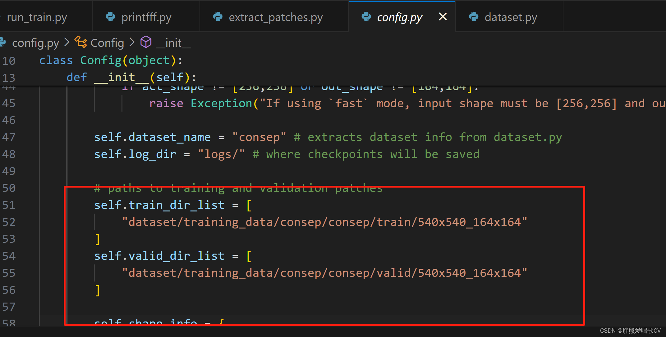 Hovernet代码复现-CSDN博客