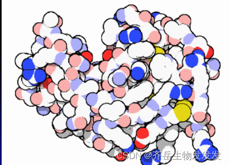 PE-Cy3标记的人血清白蛋白/人血清白蛋白，HAS，异硫氰酸荧光素和生物素标记_cy3荧光素标记人血清白蛋白-CSDN博客