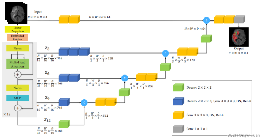 UNETR训练BTCV中的abdomen数据集_btcv数据集-CSDN博客