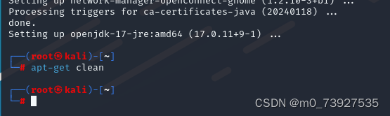 全新kali搭建pwn环境（超详细截图）_kali pwn-CSDN博客