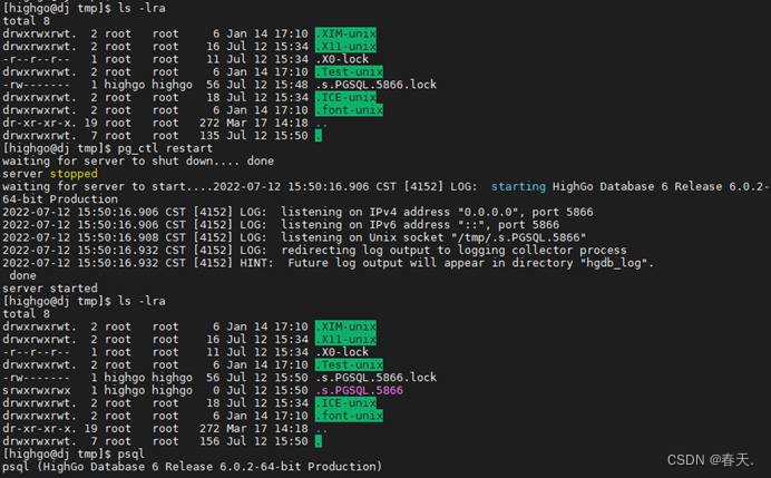 psql连接数据库报错-could not connect to server No such file or directory_psql: error: could not connect ...