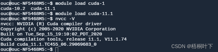 module environment配置双cuda环境变量管理_module cuda命令-CSDN博客