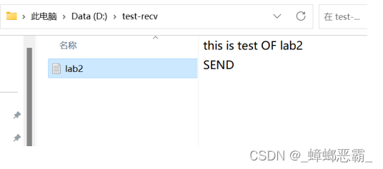 HNU_计算机网络_实验2（2021级）-网络基础编程实验(JAVA\Python3)_网络套接字编程实验-CSDN博客